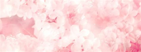 Wiki Disney Amino Pt Amino