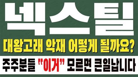 넥스틸 주가전망 대왕고래 악재 어떻게 될까요 주주분들 이거 모르면 큰일납니다 Youtube