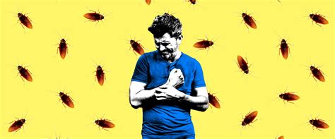 Why Does Just Seeing A Bug Cause My Skin To Itch