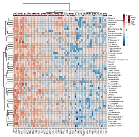 Sixty One Sorghum Genotypes Were Clustered Based On The Accumulation Download Scientific