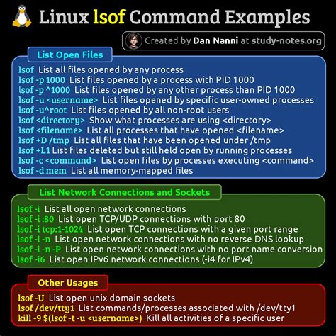 Learn Linux With Dan Dannanni • Instagram Photos And Videos