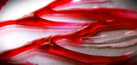 vasfluidics vascular network inspired fluidic system research