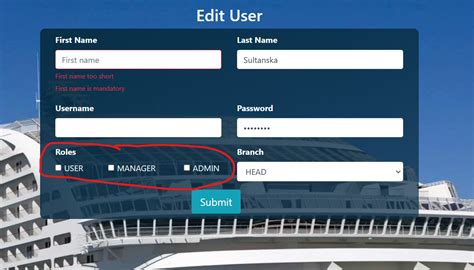 Последен проблем с извеждането на validation errors · issue 71