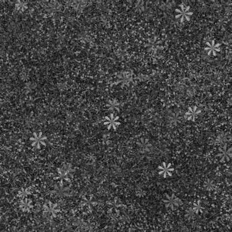 Fall Grass Pbr Material 3d Texel