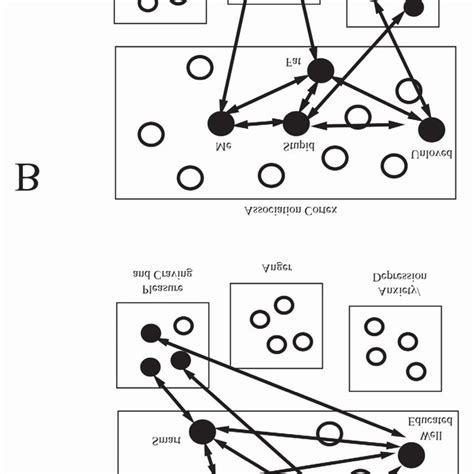 Illustration Of Attractor Networks Involving Higher Order Concepts And