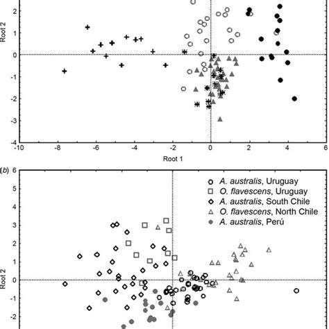 Results Of Principal Component Analyses Using Morphometric Measurements Download Scientific