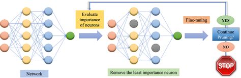 Schematic Diagram Of Pruning Process Download Scientific Diagram