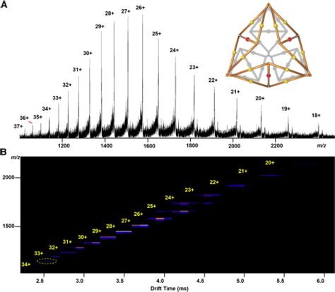 Controlled Self Assembly Of A Giant Isohedral Triakis Tetrahedron Cell