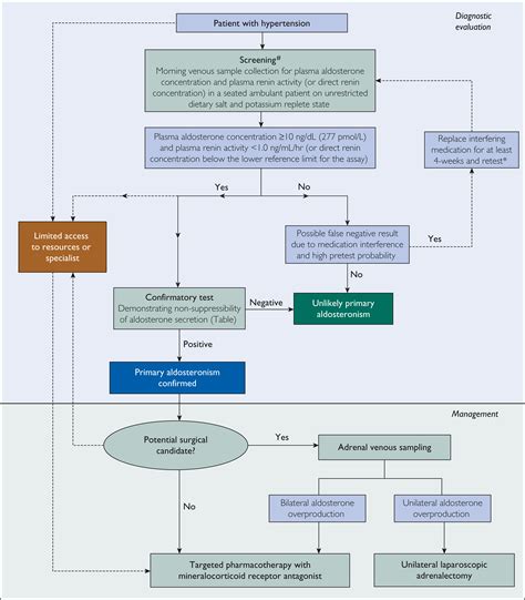 Primary Aldosteronism A Pragmatic Approach To Diagnosis And Management