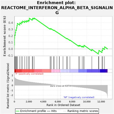Type 1 Interferon Pathway Of Degs In P Compared To Np Samples From Day Download Scientific
