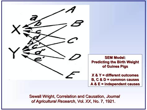 Structured Equation Model Ppt