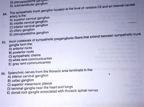 D Pterygopalatine Ganglion E Submandibular Ganglion 84 The Sympathetic Trunk Ganglion Located