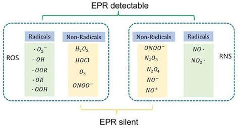 如何检测短寿命自由基？ 自旋捕获电子顺磁共振方法介绍（一） 知乎