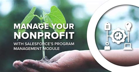 Program Management In Salesforce Insights For Nonprofits