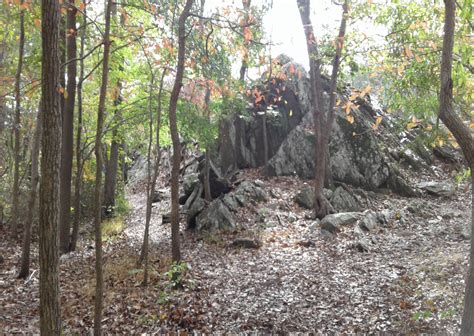Md Chesapeake And Ohio Canal National Historical Park Carderock 3459 Pra Nature Prescribed