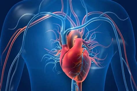 Does High Cholesterol Cause Heart Disease
