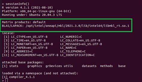 Accelerate R Code With Intel OneAPI Math Kernel Library