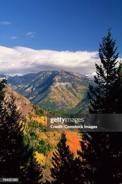 Kootenays Photos And Premium High Res Pictures Getty Images