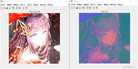 【数字图像处理】实验（3）——图像综合应用：皮肤美化（matlab实现） matlab画皮肤模型 csdn博客