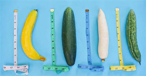 20 Negara Dengan Penis Terpanjang Di Dunia Ada Indonesia