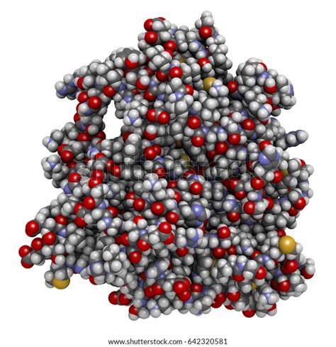 Platelet Derived Growth Factor Photos Images And Pictures Shutterstock
