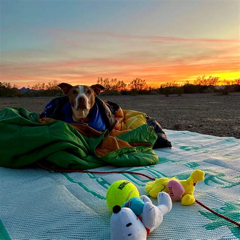 Kofa National Wildlife Refuge Camping Quartzsite Az