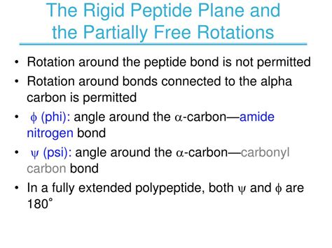 Ppt Chapter 4 Proteins Structure Function Folding Powerpoint