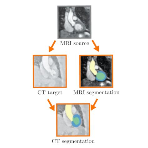 cross modality transformations in biological microscopy enabled by deep