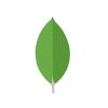 Exploring MongoDB Data Structure With DbVisualizer