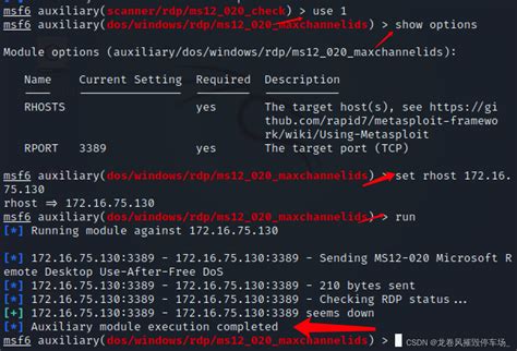 Cve 2012 0002 Csdn博客
