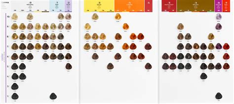 Gamma Color Erayba Usa