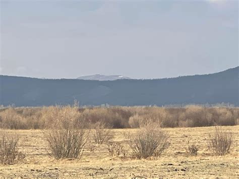 Шинэ долоо хоногийн өглөөний мэнд Basalt Ariunbold