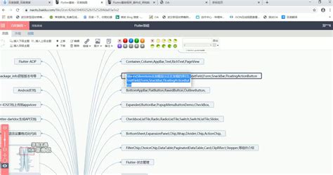 flutter flutter map加载天地图 非必学 flutter基础 csdn在线视频培训
