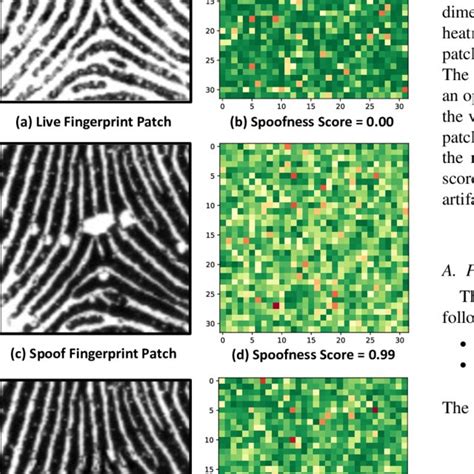 Interface Of The Real Time Fingerprint Spoof Detector Called
