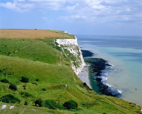 The White Cliffs Of Dover 白亜の壁 Ptxwd