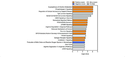 Top Canonical Pathways Predicted By Ingenuity Pathway Analysis Ipa Download Scientific