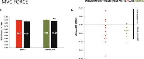 mvc force a the muscle force during mvc was slightly reduced at post