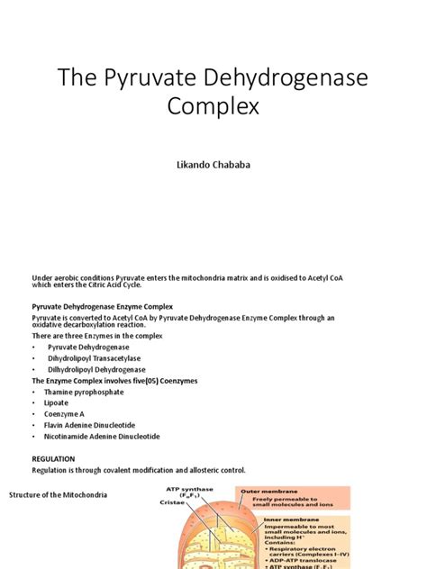 Pyruvate Dehydrogenase Enzyme Complex Pdf