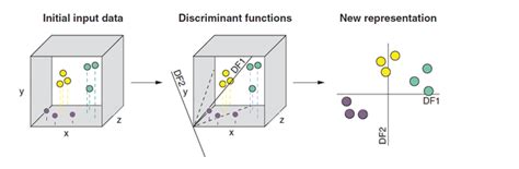 R机器学习：分类算法之判别分析ldaqda的原理与实现使用qda函数需要进行数据标准化吗 Csdn博客