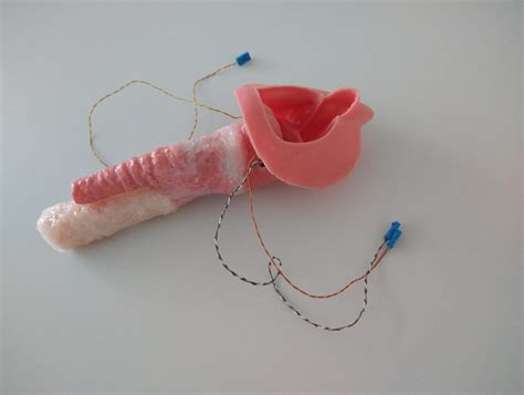 Sensor Equipped Training Model For Intubation Acmit At