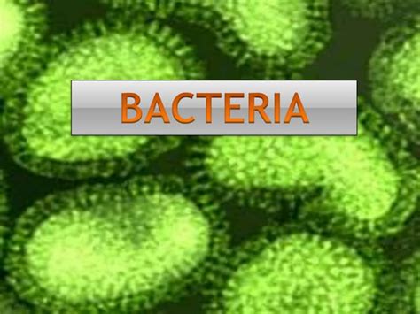 Classification Of Bacteria Pptx