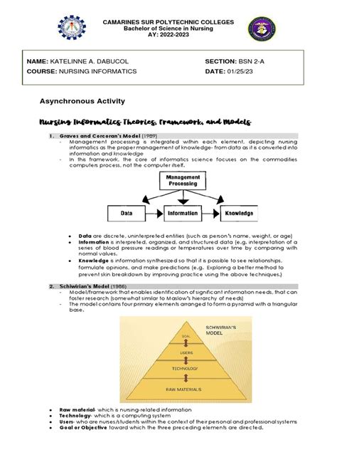 Dabucol Nursing Informatics Ni Theories Model Framework Pdf Medical Record Computer Science