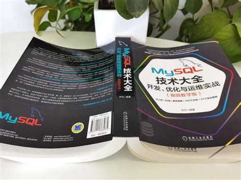 mysql技术大全：开发、优化与运维实战 冰河技术