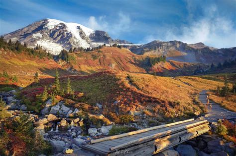 Mount Rainier National Park