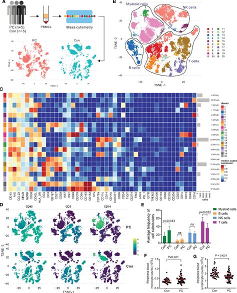 Figure 2 From High Dimensional Single Cell Analysis Unveils Distinct