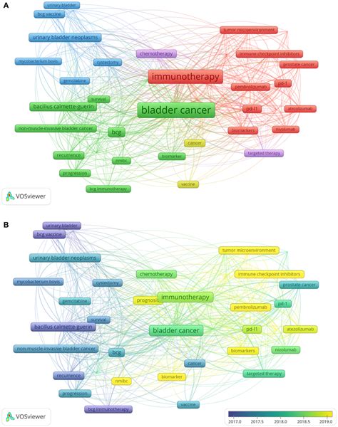Visual Map Of The Co Occurrence Of Keywords A Keywords Clustering Download Scientific