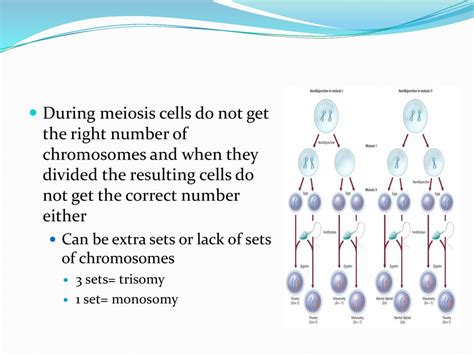 Gene Linkage And Polyploidy Ppt Download