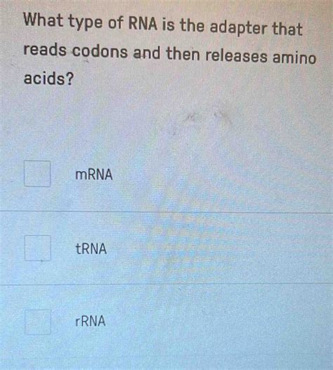 solved what type of rna is the adapter that reads codons and then