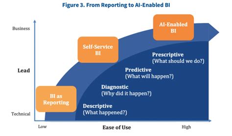 6 Bi Implementation Issues Indata Labs