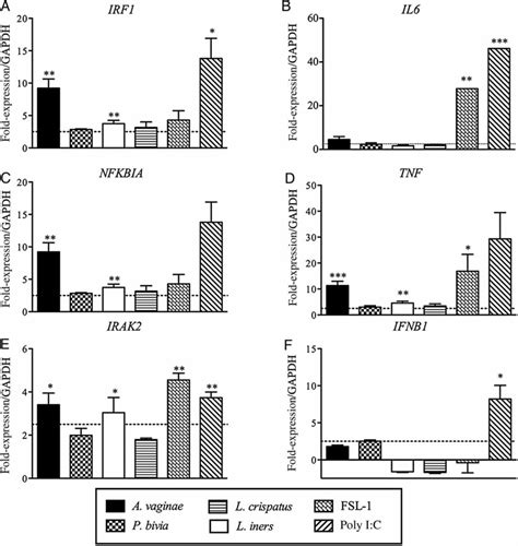 Pattern Recognition Receptor PRR Signaling And Downstream Download Scientific Diagram